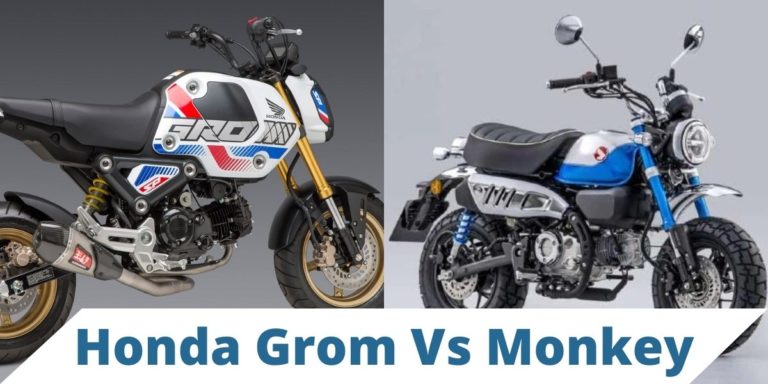 Honda Grom vs. Honda Monkey - Rev Corner
